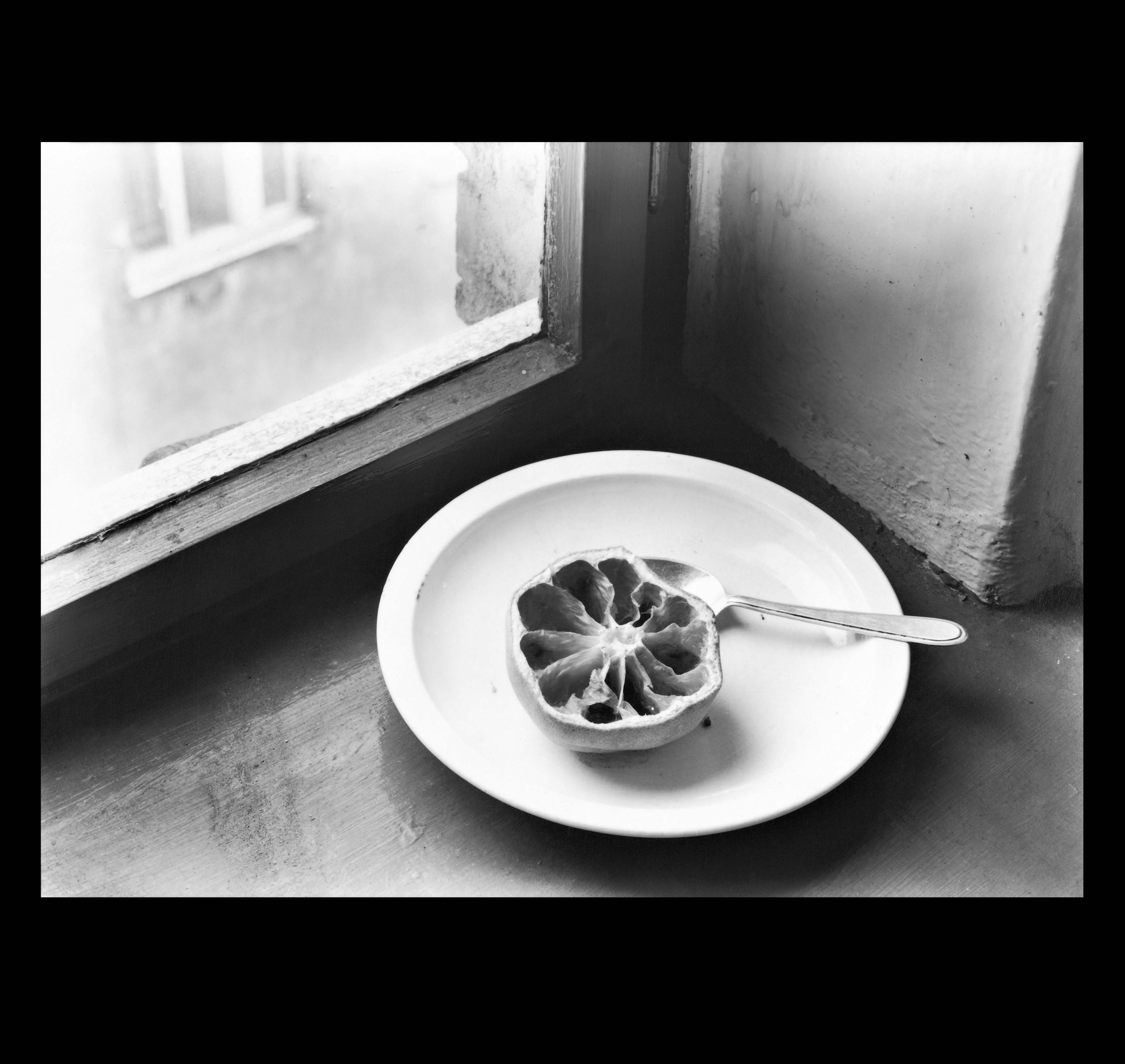 Edition: Manfred Paul | Spector Books